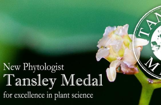 Apply for the 2025 New Phytologist Tansley Medal! | New Phytologist ...