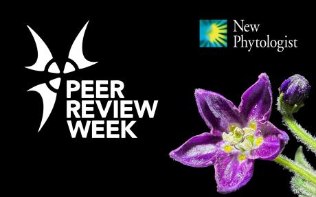 Peer Review Week 2025: Top tips for writing a review | New Phytologist ...